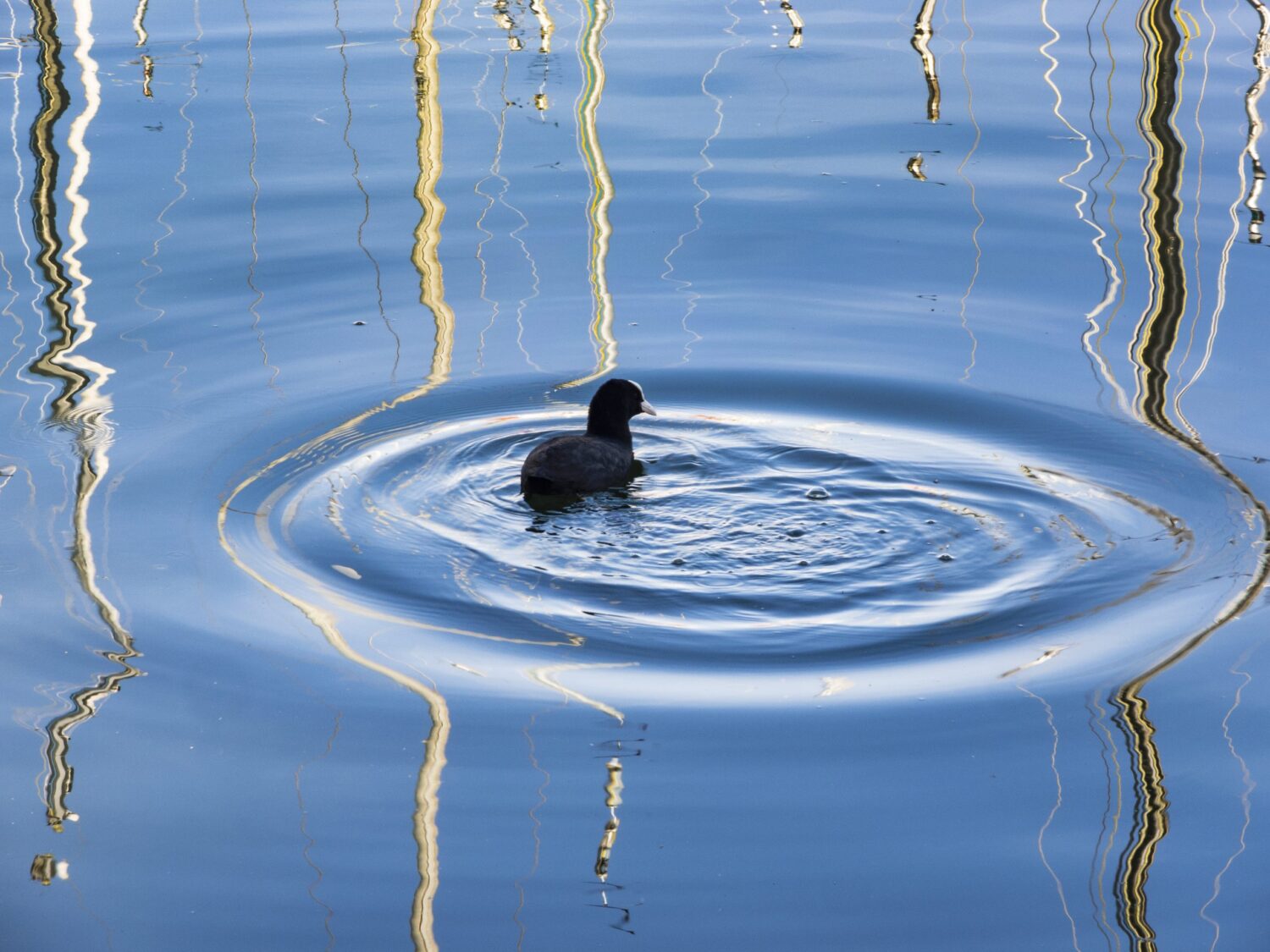 A Colorado Spot Has Been Named One of the Top 5 Bluest Bodies of Water ...