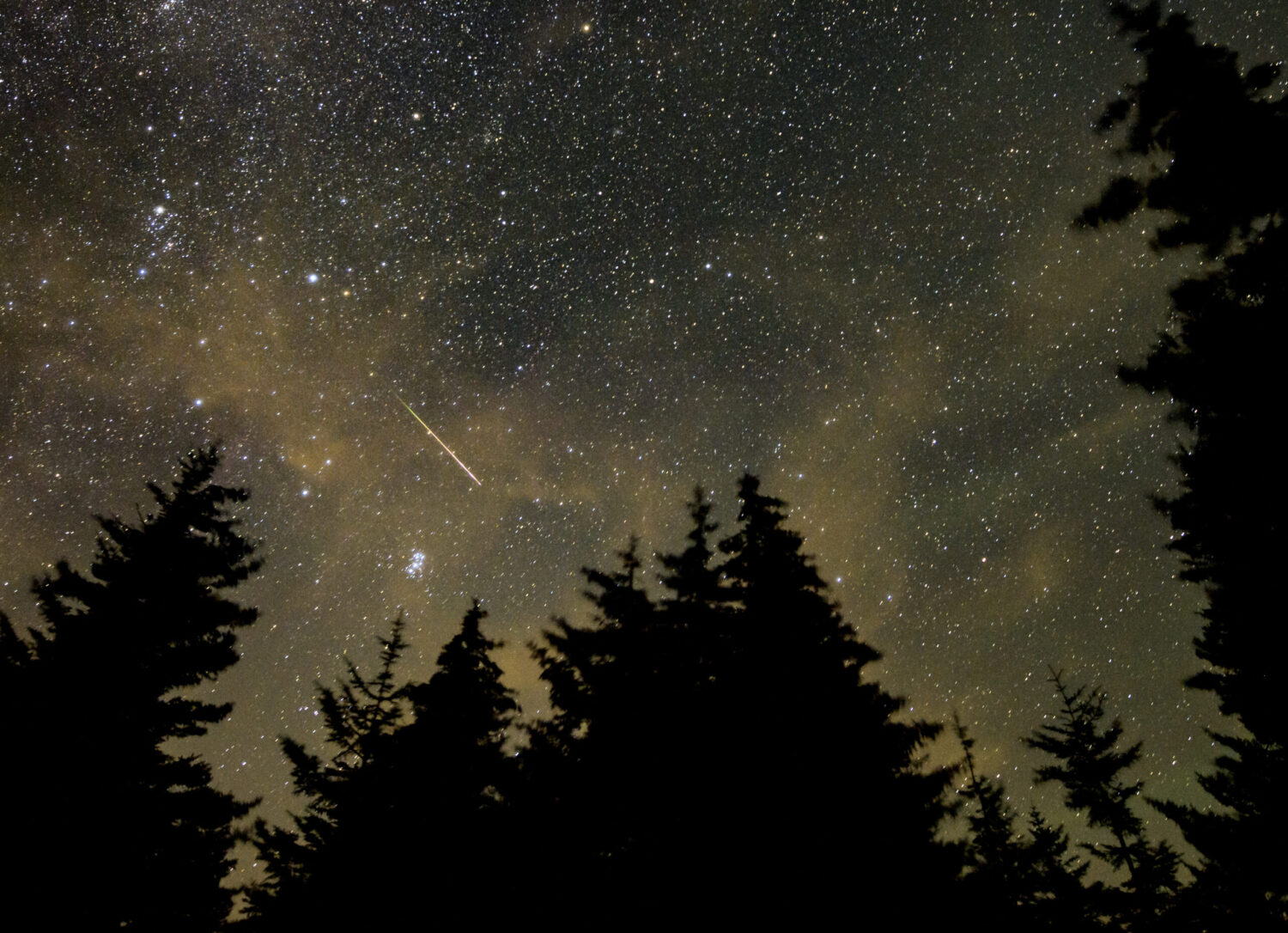 The 'best meteor shower of the year' peaks in Colorado August 12 & 13 ...